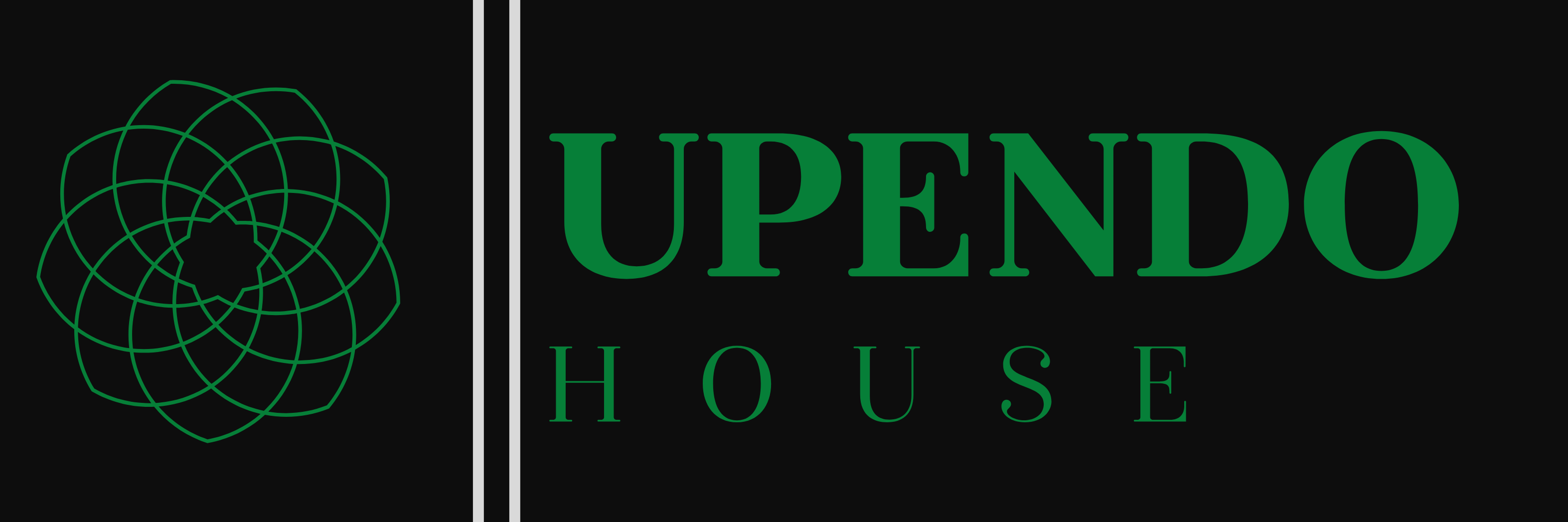 system-impacted youth holistic healing Los Angeles Upendo House